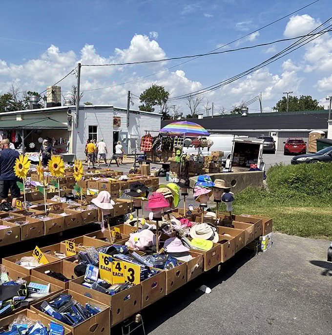At Green Dragon Market’s outdoor vendor alley, bargain hunters sift through rows of hidden gems under the summer sun.