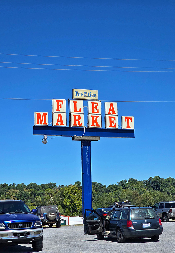 The white building with bold red "FLEA" lettering promises treasures inside like a humble book cover hiding an epic tale.