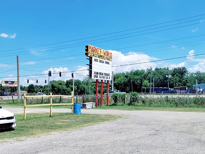 The bold sign and promise of free circus shows hint at quirky roadside charm. Treasure hunting kicks off at this unmissable stop just off the highway.