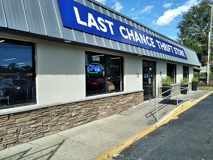 The iconic blue sign beckons bargain hunters like a retail lighthouse on US-19, promising treasures within those unassuming walls.