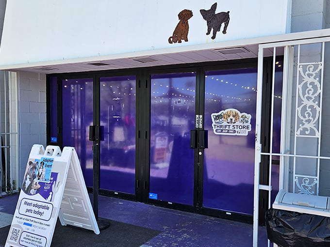 The purple doors of the Humane Society Thrift Store beckon like a portal to bargain paradise, complete with adorable dog silhouettes standing guard above.