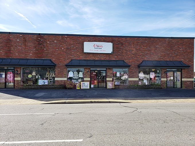 The unassuming brick façade of 4 Paws Thrift Store hides a treasure trove within, like finding a speakeasy behind a bookshelf.
