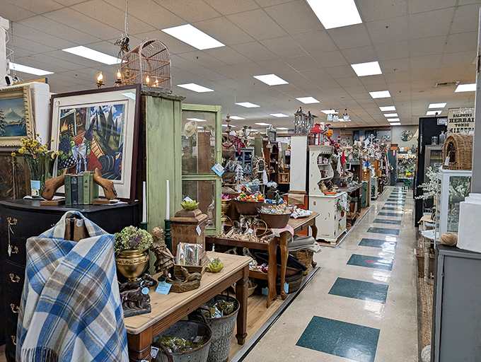 Treasure hunters paradise! Antique Trove's meticulously organized aisles stretch into the distance, each one a portal to different decades of American life.