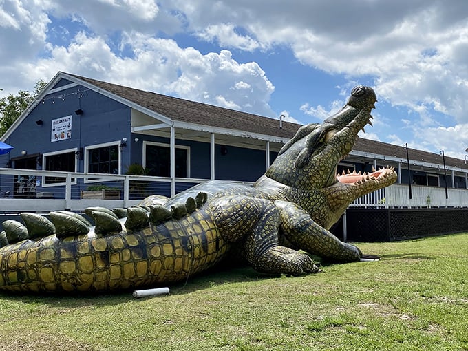 Nothing says “welcome to Florida” quite like pizza served under the watchful eye of a giant gator.