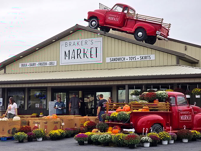 The iconic red truck perched atop Braker's Market isn't just decoration—it's a beacon calling hungry travelers to this Eureka treasure.