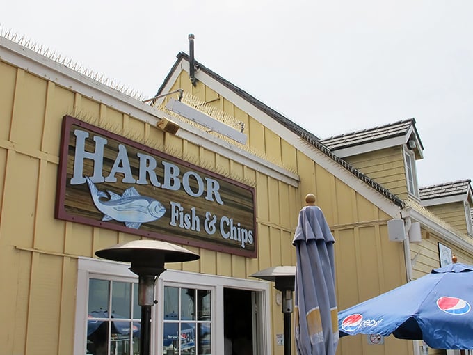 The cheerful yellow exterior of Harbor Fish & Chips stands like a beacon of seafood salvation along Oceanside Harbor, promising maritime delights within.