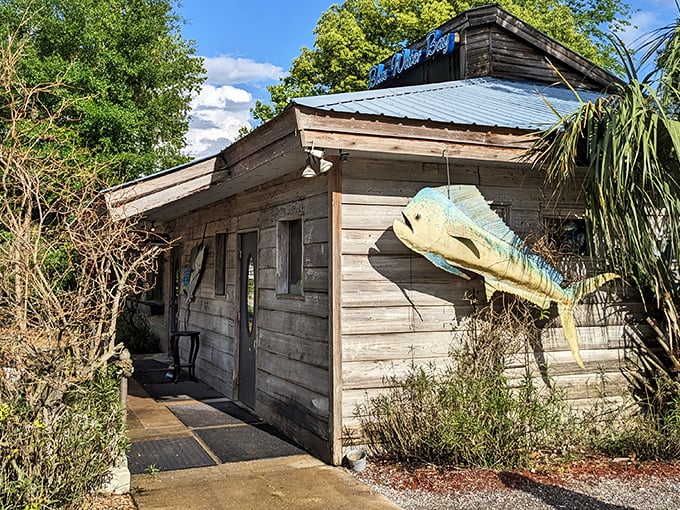 This weathered wooden exterior with its metal roof and mounted sailfish isn't trying to impress anyone—until you taste what's cooking inside.