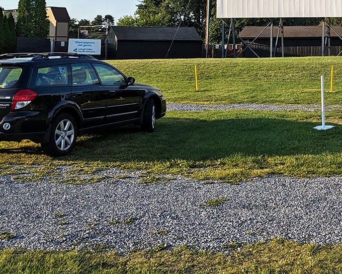 Shankweiler’s comes to life as cars settle in under the open sky, keeping the golden age of movie nights alive in Pennsylvania.