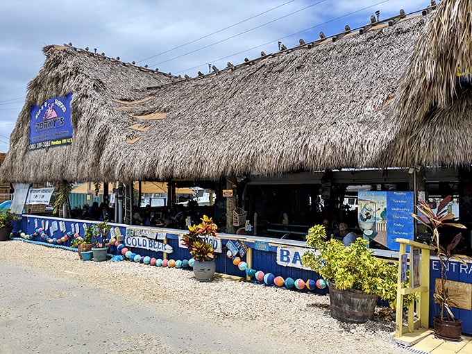 The iconic thatched roof of Porky's Bayside isn't just Instagram-worthy—it's a beacon for hungry travelers seeking authentic Keys cuisine without pretension.