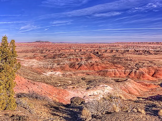 Nature's own color palette on full display. The Painted Desert stretches toward the horizon like a watercolor masterpiece that forgot to stop at the canvas edge.