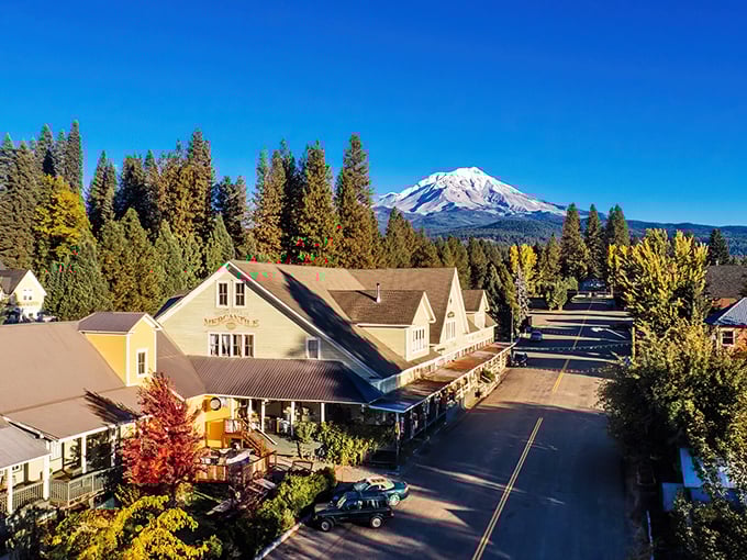 Mount Shasta stands guard over McCloud like a snow-capped bouncer who's actually quite friendly once you get to know him.