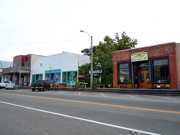 Downtown Apalachicola looks like a movie set where time decided to take a permanent vacation. Those colorful storefronts have stories to tell!