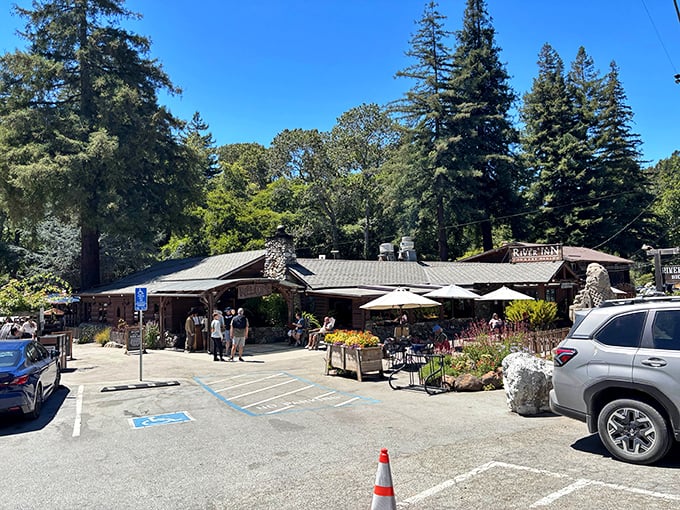 The outdoor deck at Big Sur River Inn embraces nature so completely that redwoods grow right through it. Dining among giants never felt so right.