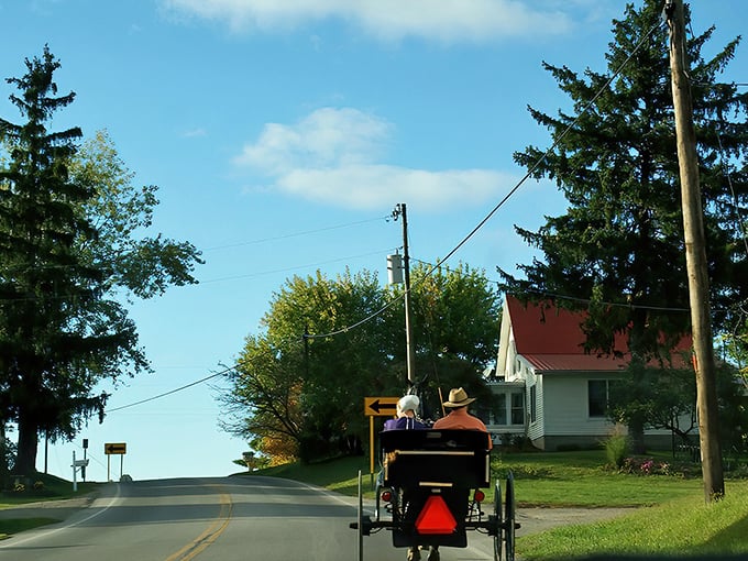 Where modern transportation meets tradition – an Amish buggy makes its daily commute along country roads that haven't changed their speed limit in a century.