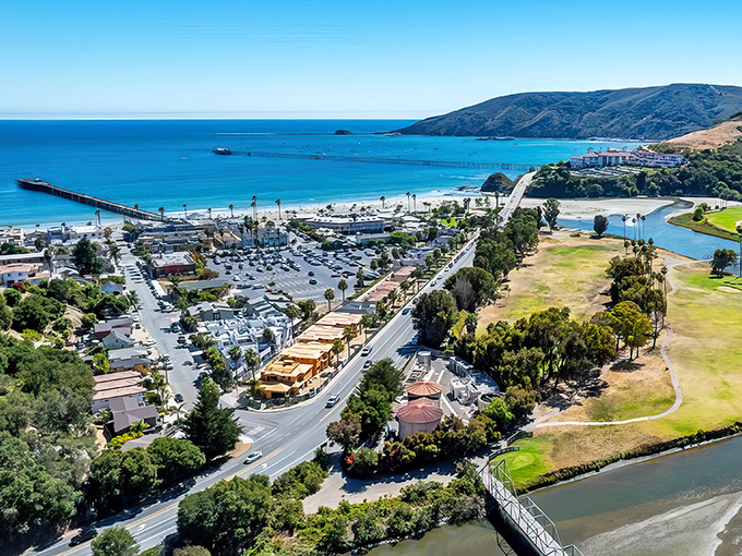 Avila Beach from above – a postcard come to life. That protected bay creates a microclimate so perfect it feels like Mother Nature's favorite child.
