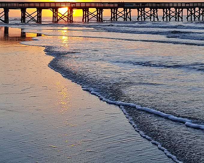 The golden hour transforms Isle of Palms into a painter's dream. Sunlight dances across gentle waves while the pier stands sentinel, framing nature's daily masterpiece.