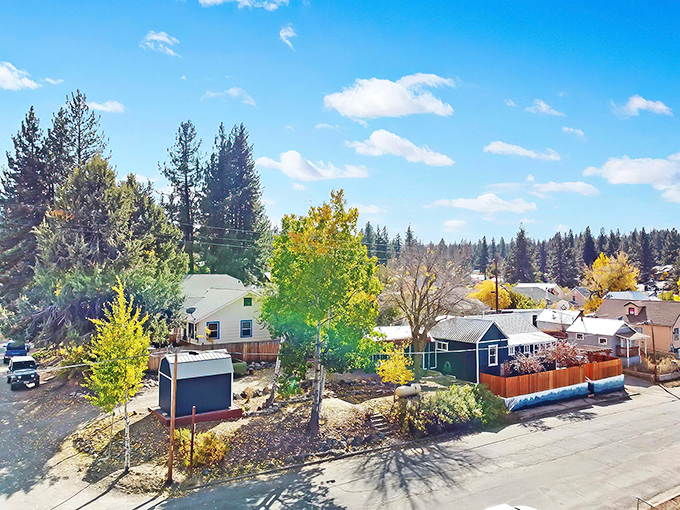 Portola's residential charm on full display with pine-framed homes and golden autumn foliage—small-town living with big mountain character.