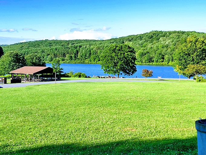 Nature's perfect postcard: emerald lawns meeting crystal waters, with forested hills creating the backdrop Mother Nature would use for her LinkedIn profile.