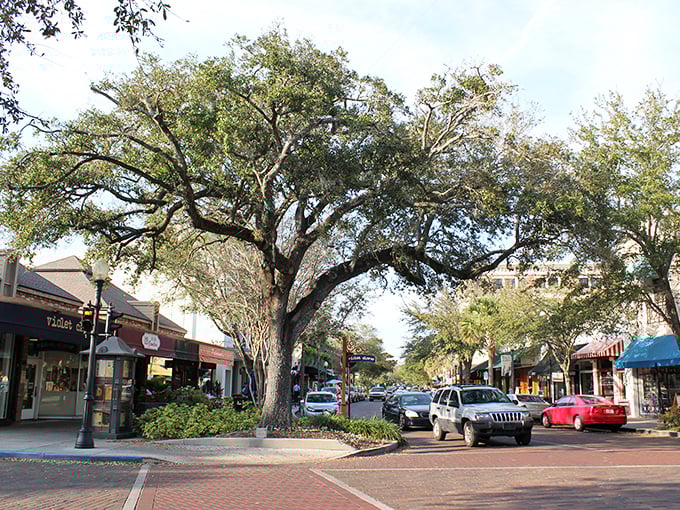Winter Park's brick-lined streets and majestic oaks create nature's perfect canopy—like Mother Nature herself designed the ultimate outdoor living room.