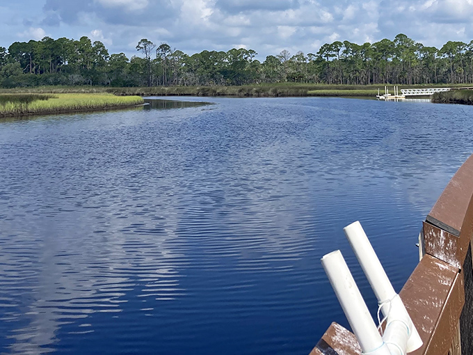 Tranquility has an address, and it's where this glassy water meets the sky. Mother Nature showing off her mirror skills at Pellicer Creek.