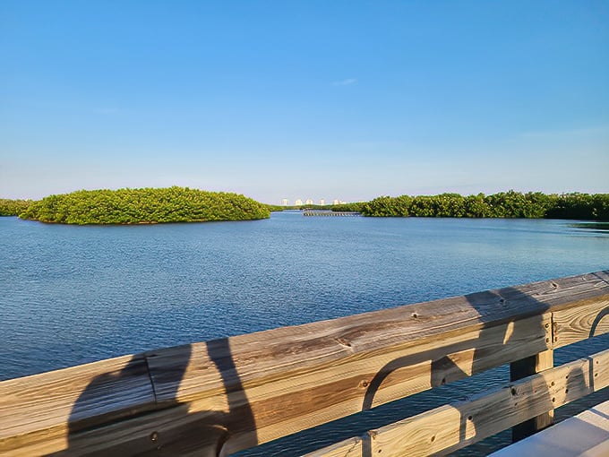 The mangrove-lined waterways of Lovers Key create nature's perfect mirror, reflecting Florida's blue skies and lush greenery with postcard-worthy precision.