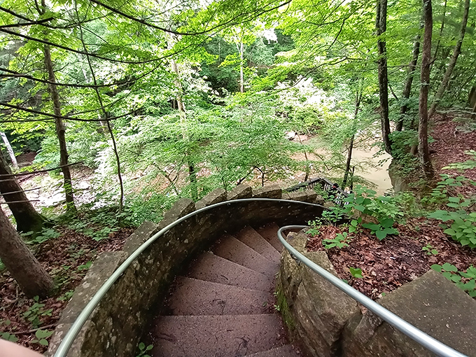 These stone steps lead to wonder. Descending into McCormick's Creek canyon feels like entering a secret world that's been waiting for you all along.