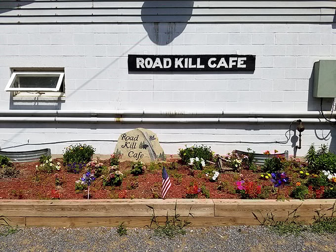 A splash of color welcomes visitors with a beautifully maintained flower bed. Country charm at its finest—where even the landscaping tells you someone here cares about the details.