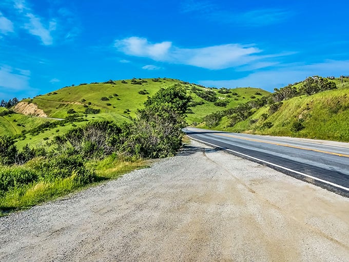 Mother Nature showing off her best angles where emerald hills meet azure skies, creating the kind of view that makes smartphone cameras seem woefully inadequate.