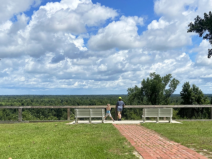 The view that makes you question your GPS. Florida's not supposed to have vistas like this—someone clearly forgot to tell Torreya State Park.