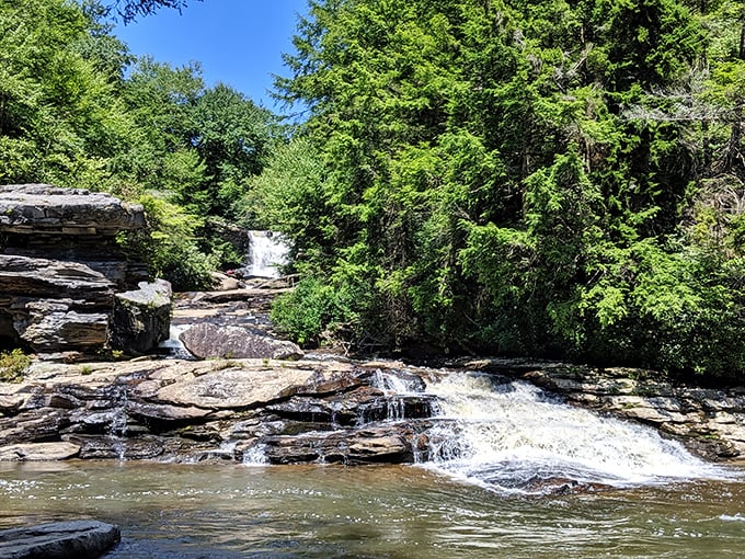 Nature's own masterpiece: the Youghiogheny River carves through ancient rock formations, creating a landscape that rivals any art museum.