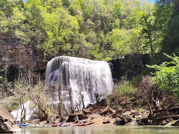 Nature's own multi-tiered wedding cake – Burgess Falls cascades down limestone shelves, creating a spectacle that puts Vegas water shows to shame.