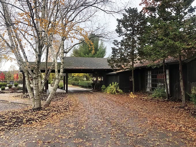 The approach to culinary paradise isn't always paved with gold—sometimes it's carpeted with autumn leaves and rustic charm instead.