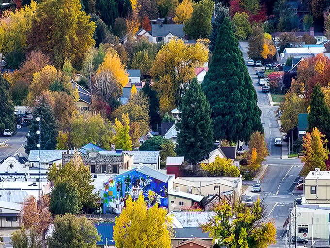 Fall in Quincy paints the town in nature's most extravagant palette—like if Bob Ross and Monet collaborated on a mountain masterpiece.
