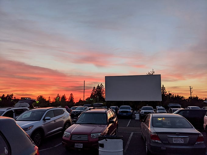 As the sun dips below the horizon, a golden glow washes over rows of parked cars at a California drive-in, where a giant screen waits to light up the night with movie magic.