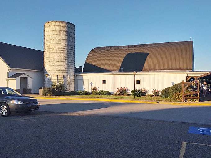 The iconic white barn structure stands proudly against the Ohio sky, complete with its authentic silo—architecture that doesn't just hint at rural charm, it practically sings it.