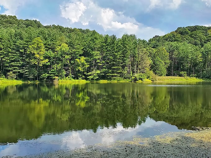 Mirror, mirror on the lake – this pristine water reflects Ohio's hidden natural beauty perfectly.