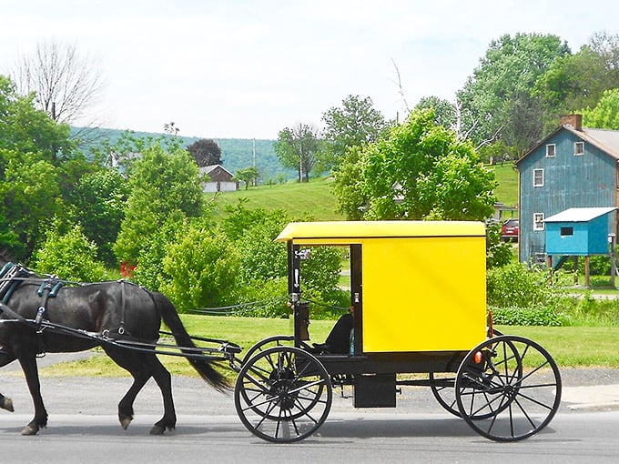 The iconic yellow buggy against verdant Pennsylvania countryside – a splash of sunshine on wheels that moves at the perfect pace for appreciating life's simple beauty.