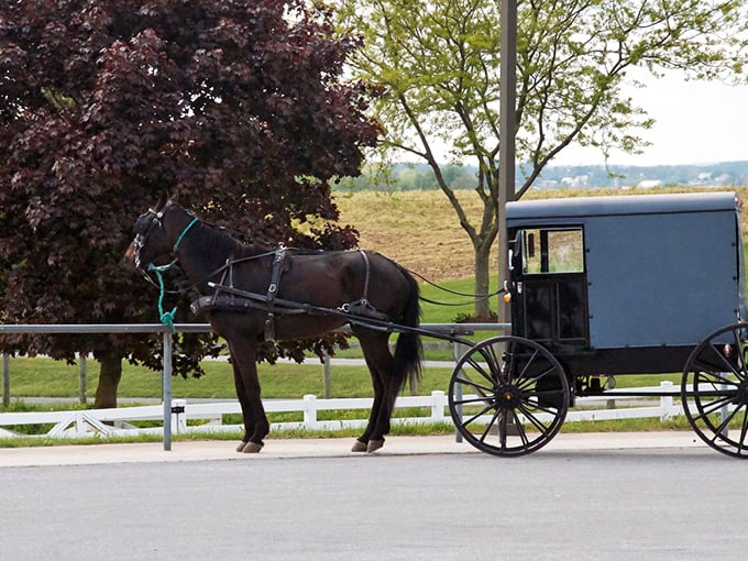 Where time slows down: An Amish buggy clip-clops past a historic brick home, offering a glimpse into Bird-in-Hand's simpler pace of life.