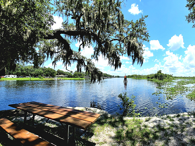 Nature's mirror game is on full display here, with cypress knees poking through the water like prehistoric periscopes surveying this untouched paradise.