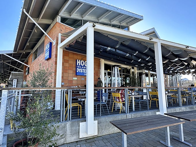 Modern architecture meets seafood sanctuary - where wine country decided to get serious about oysters.