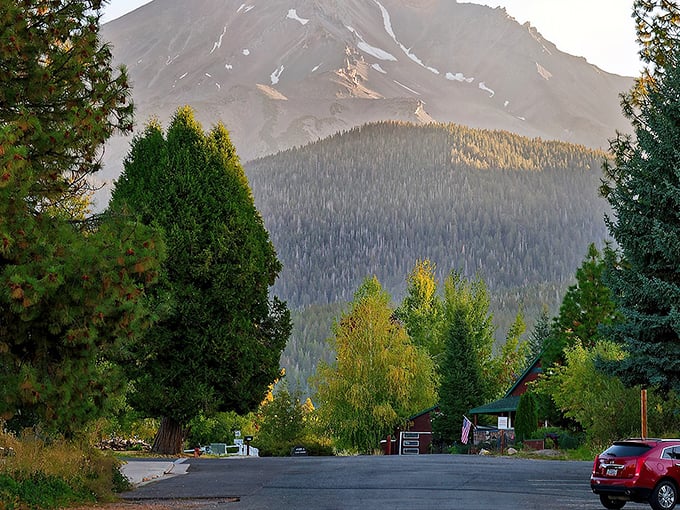 Mount Shasta dominates the skyline like a watchful guardian, turning an ordinary small-town street into a postcard-perfect scene that never gets old.