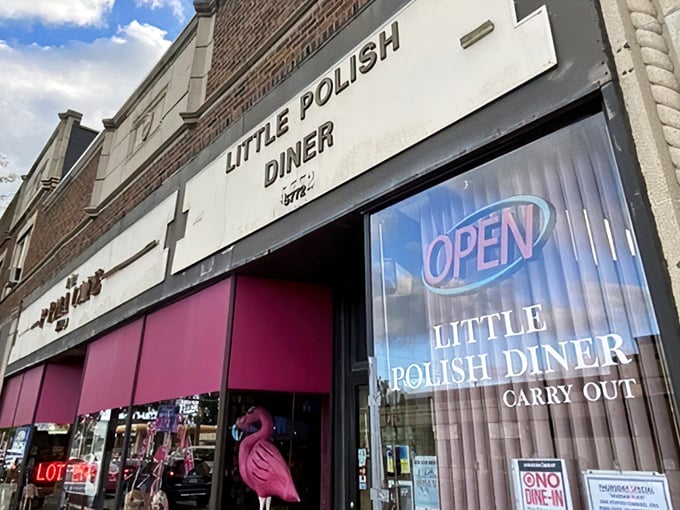 Little Polish Diner in Parma may look modest from the outside, but inside it serves up homestyle Polish flavors that pack a serious punch.
