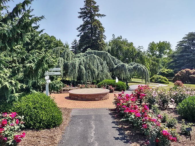 Weeping willows stand guard over vibrant pink roses, creating nature's version of a red carpet entrance. The circular brick patio begs you to pause and breathe it all in.