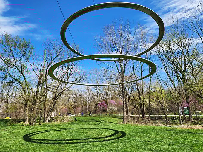 Floating rings that defy gravity and logic—"Align" creates perfect circles of shadow below, nature's most elegant sundial.