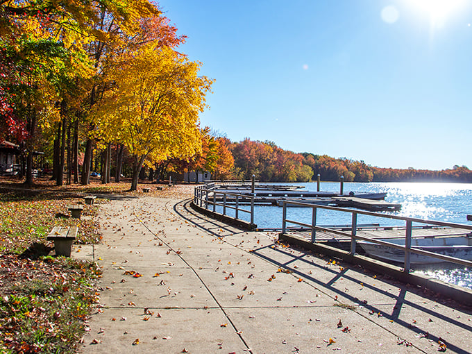 Nature's perfect mirror act: autumn trees showing off their fiery wardrobe with a water-based encore performance below. Delaware's own double feature.