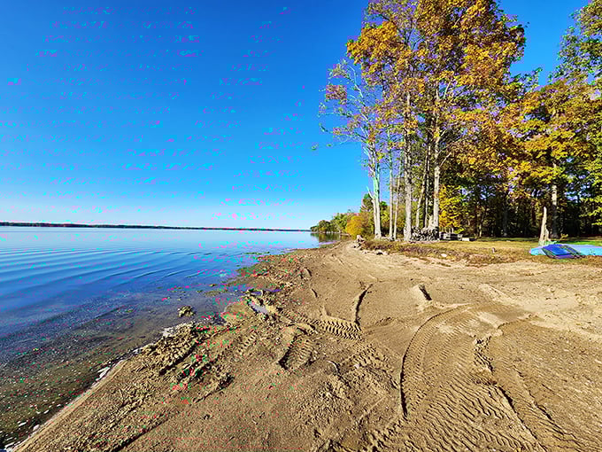 Fall foliage frames the glassy waters of Pymatuning like nature's own masterpiece. Those colors aren't Photoshopped—they're Pennsylvania showing off.