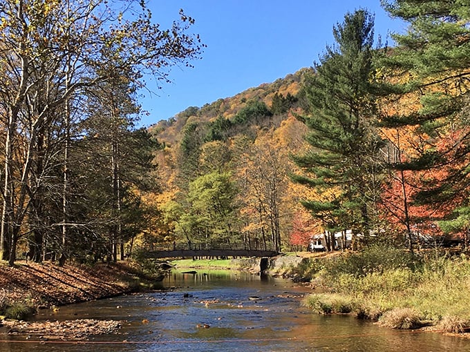 Another angle reveals why photographers lose their minds here – it's basically a Bob Ross painting come to life.