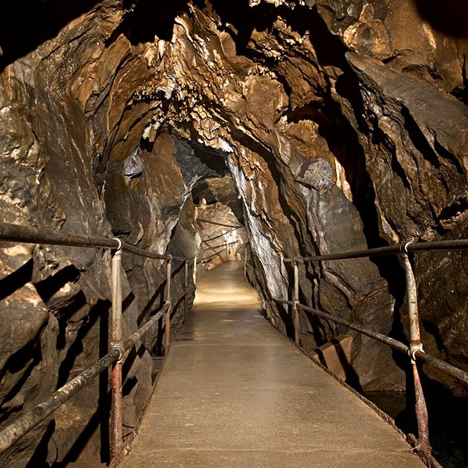 The ancient limestone corridors of Lost River Caverns beckon visitors into a world where time is measured in millennia, not minutes.