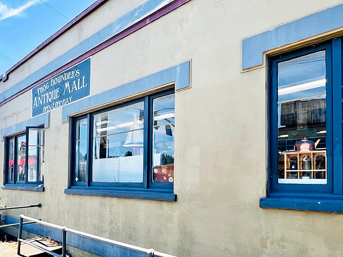 The unassuming exterior of Phog Bounders belies the wonderland within—like finding a portal to the past behind that classic blue trim.