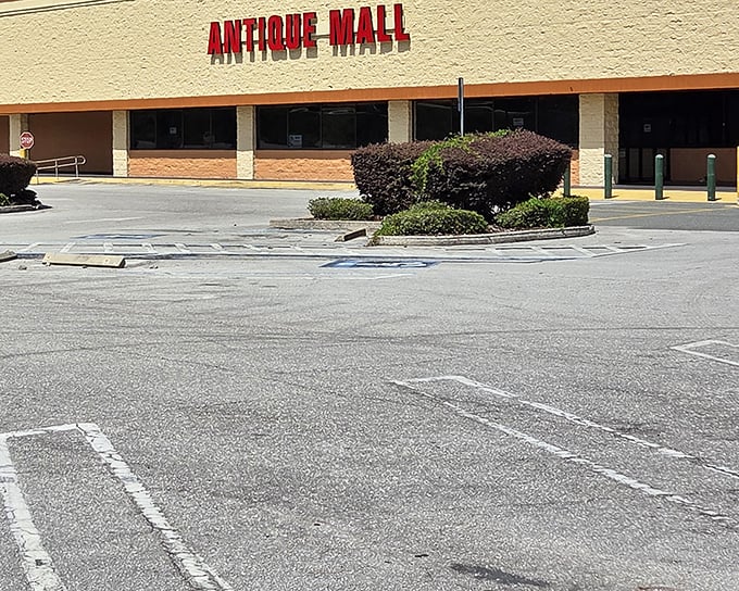 The unassuming exterior hides a universe of treasures within – like finding Narnia in a strip mall setting.